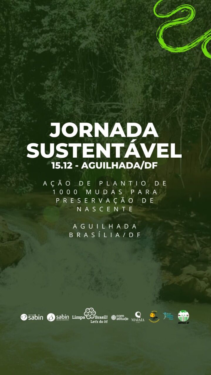 Entidades organizam maior plantio de árvores de Brasília com mais de ...