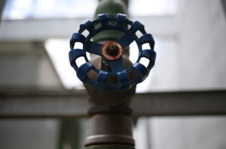 Mãe recebe críticas por fazer OnlyFans com a filha: ‘Nos divertimos ...